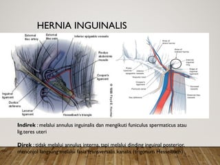 Patofisiologi Penyakit Peptic Ulcer.pdf