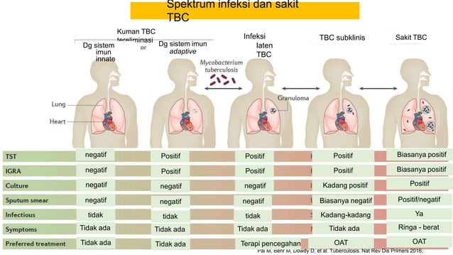 Patogenesis TB paru.pptx