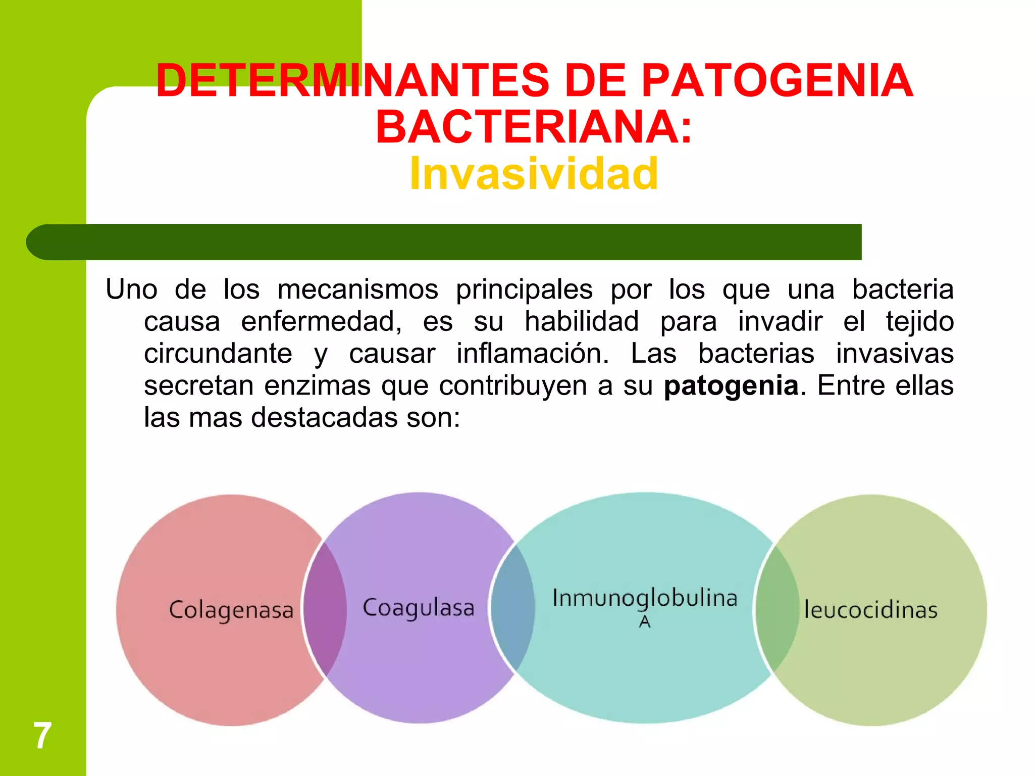 Patogenia
