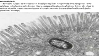 Patogenia Bacteria especial.pptx