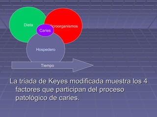 Patogenia de la caries | PPT