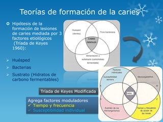 Patogenia de la caries | PPTX