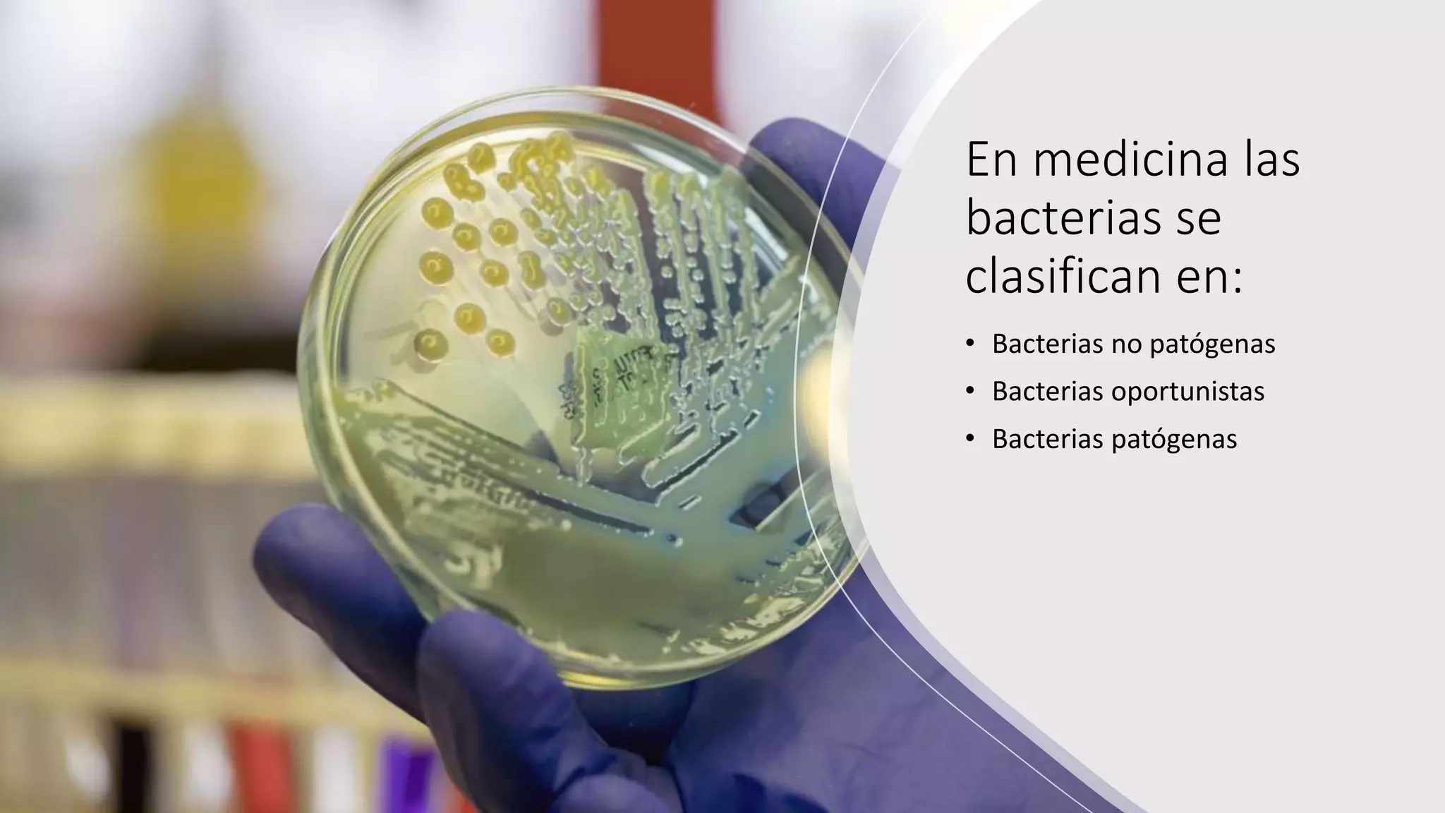 Patogenia de la infección bacteriana.pptx
