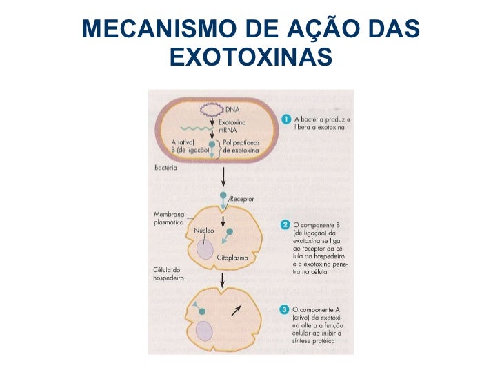 Patogenicidade microbiana microbiologia básica