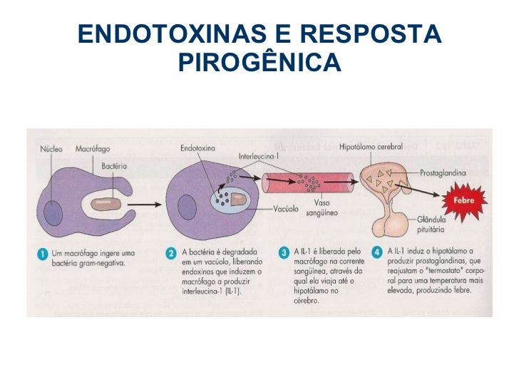 Patogenicidade microbiana microbiologia básica