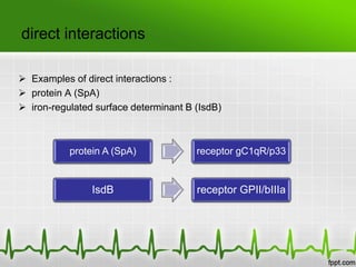 Bloodstream infection and endocarditis | PPT