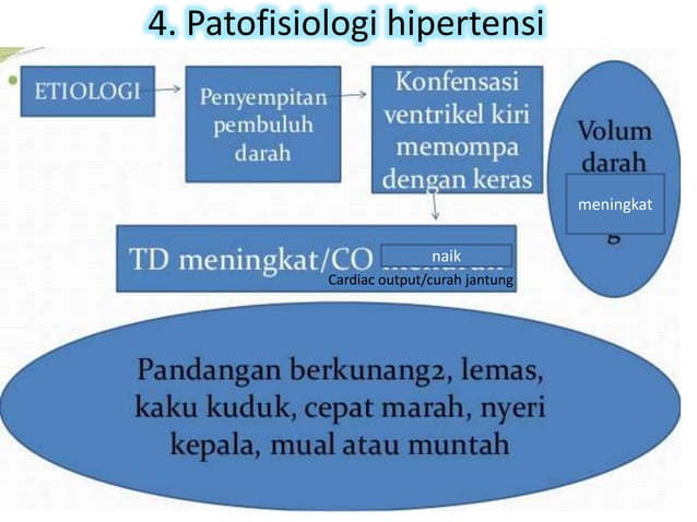 Patofisiologi hipertensi | PPT
