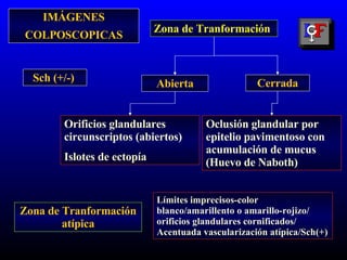 Patología Cervical Benigna | PPT