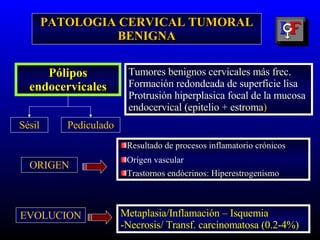 Patología Cervical Benigna | PPT