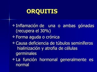 PatologíA Testicular | PPT