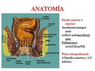 Patología Anorrectal Benigna | PDF