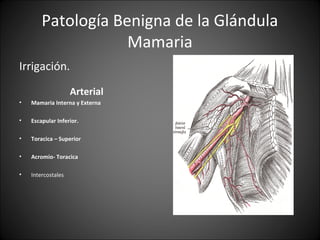 Patología benigna de la glándula mamaria | PPT
