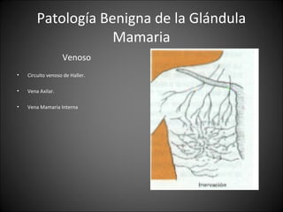 Patología benigna de la glándula mamaria | PPT