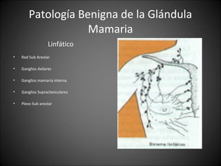 Patología benigna de la glándula mamaria | PPT