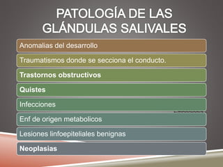 Patología de boca y glándulas salivales Mayra Quiroz Florián | PPTX