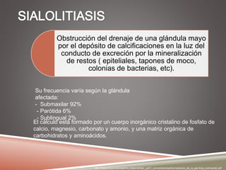 Patología de boca y glándulas salivales Mayra Quiroz Florián | PPTX