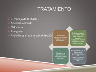 Patología de boca y glándulas salivales Mayra Quiroz Florián | PPTX