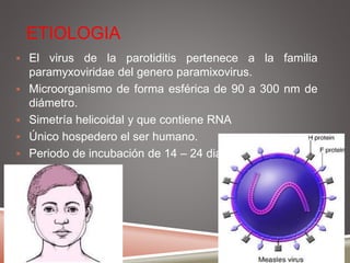 Patología de boca y glándulas salivales Mayra Quiroz Florián | PPTX