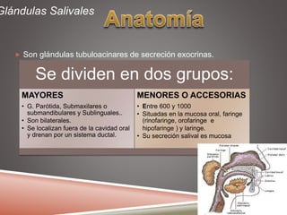 Patología de boca y glándulas salivales Mayra Quiroz Florián | PPTX