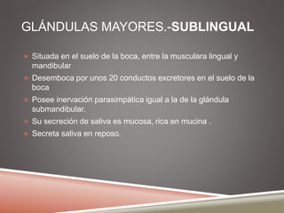 Patología de boca y glándulas salivales Mayra Quiroz Florián | PPTX