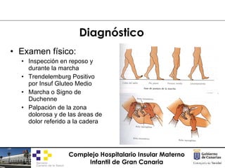 Patología de la cadera del adulto abordaje desde atención primaria de ...