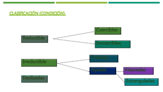 Patología de la Pared Abdominal - UPAO | PPTX