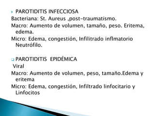 PATOLOGÍA DE LAS GLÁNDULAS SALIVALES (1).ppt