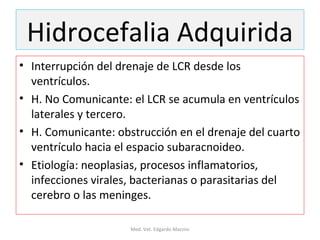 Patología del Sistema Nervioso 2015 | PPT