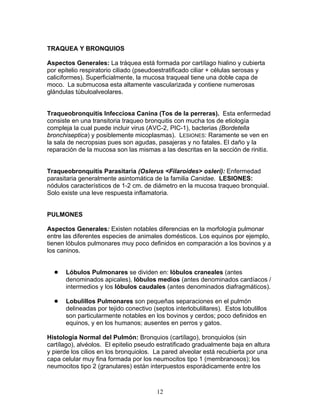 Patología del sistema respiratorio | PDF