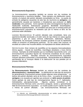 Patología del sistema respiratorio | PDF