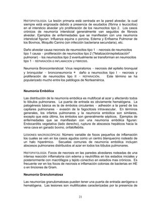 Patología del sistema respiratorio | PDF