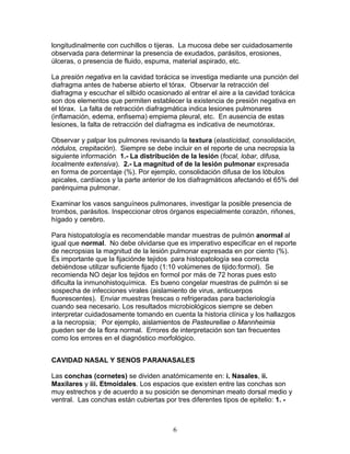 Patología del sistema respiratorio | PDF