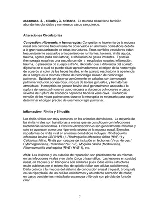 Patología del sistema respiratorio | PDF
