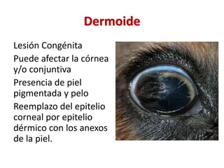 Patología de ojo y oido | PPTX