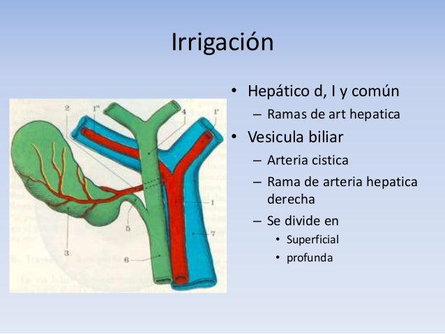 Patología de vía biliar