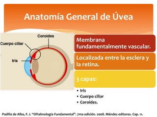Patología de úvea | PPTX