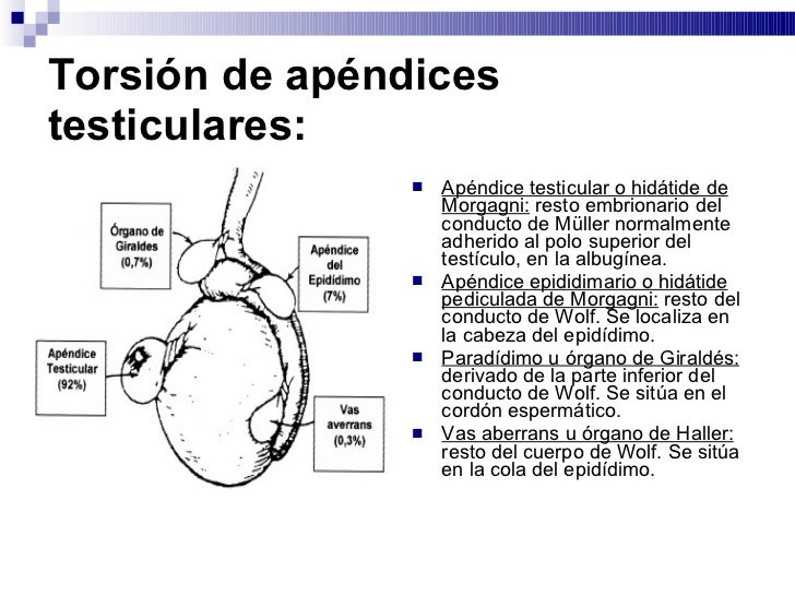 Patología escrotal aguda