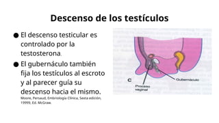 PATOLOGÍA ESCROTAL AGUDA UNA URGENCIA.tx