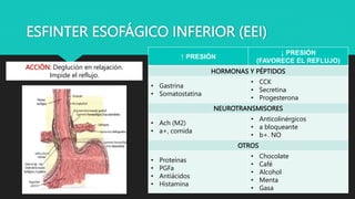 PATOLOGÍA ESOFÁGICA.pptx