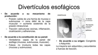Patología esofágica y hernia diafragmática | PPTX