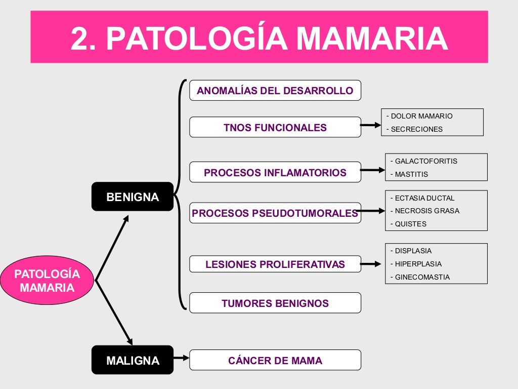 Patología Mamaria