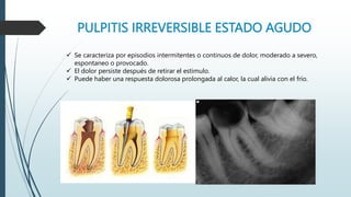 Patología pulpar y periapical 1.pptx