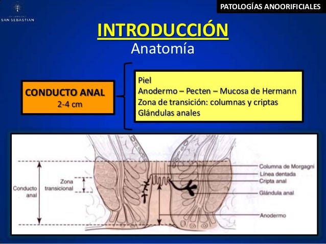 Patologías anoorificiales