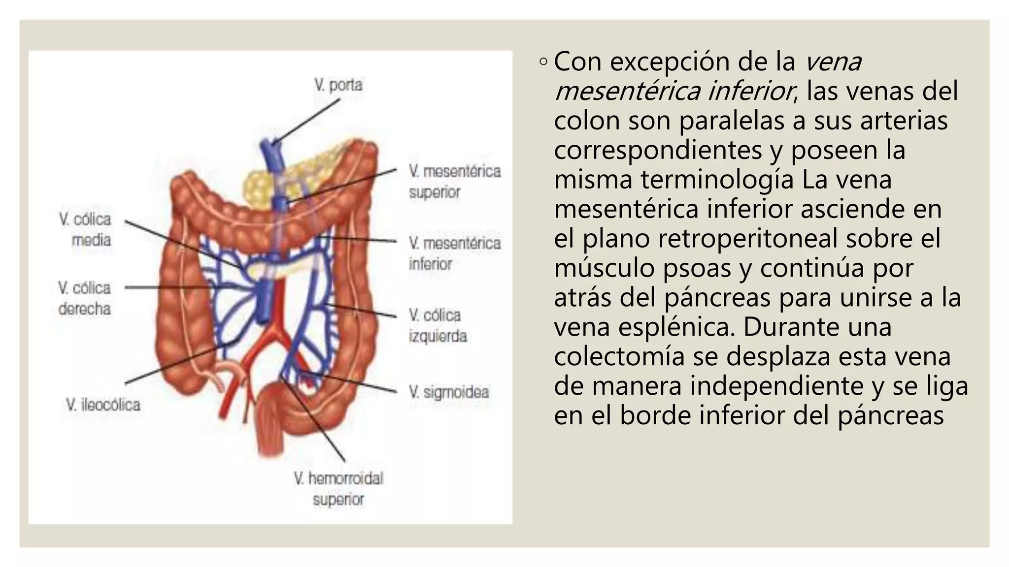 PATOLOGÍAS COLO RECTALES- fistula, absceso anal, cáncer de colo y recto ...