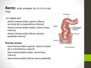 Patologías de colon y recto. | PPTX