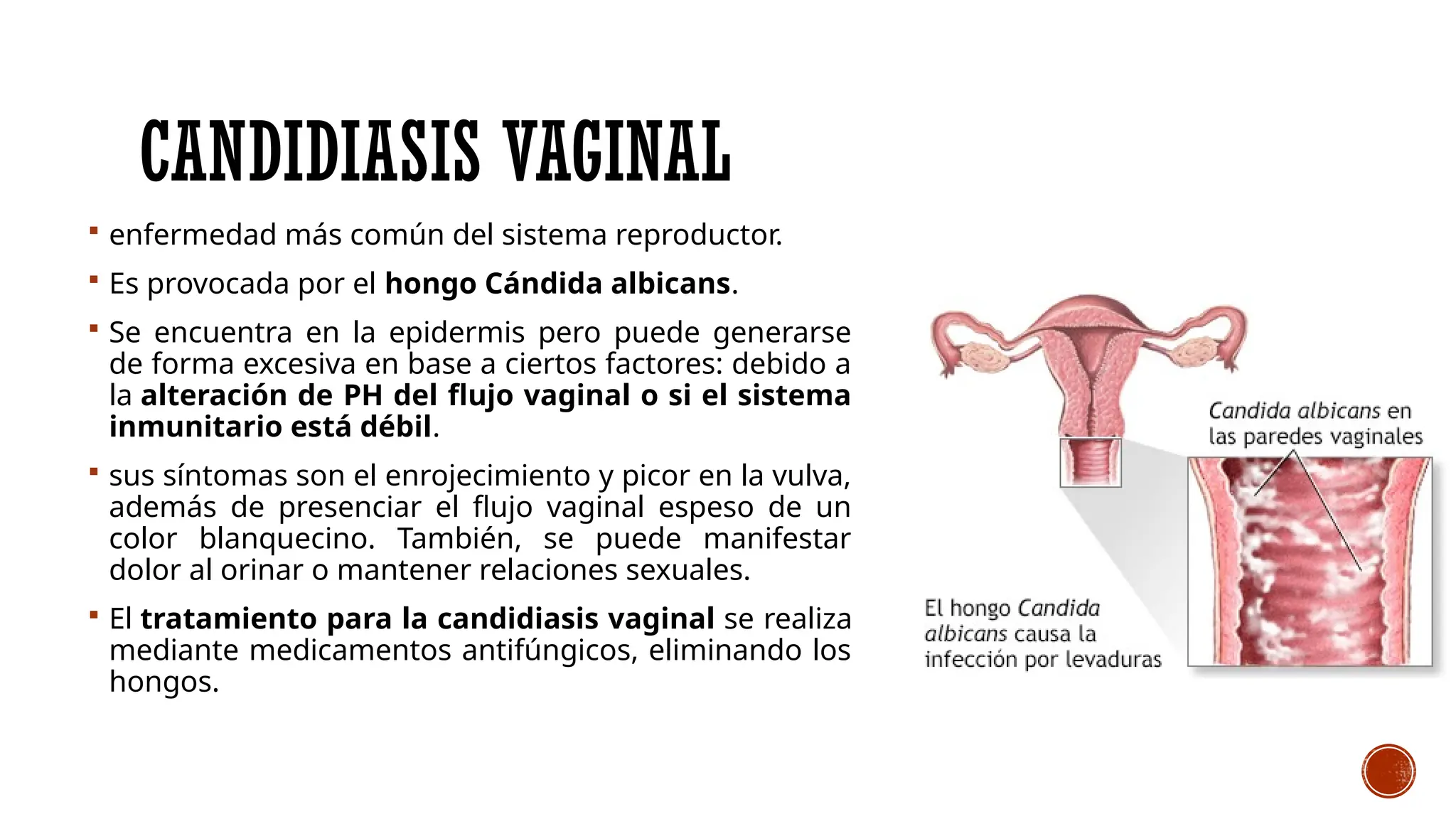Patologías del aparato reproductor femenino.pptx
