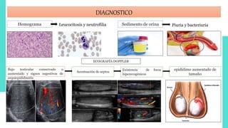 Patologías del contenido escrotal y escroto agudo.pptx