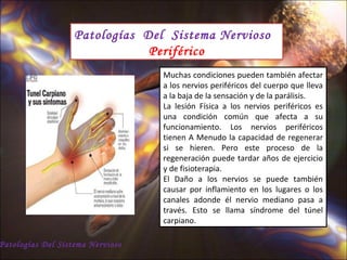 Patologías del Sistema Nervioso | PPT