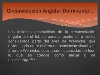 Patologías del sistema nervioso | PPTX