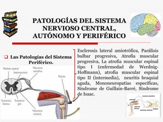 Patologías del Sistema Nervioso Central, Autónomo y Periférico | PDF